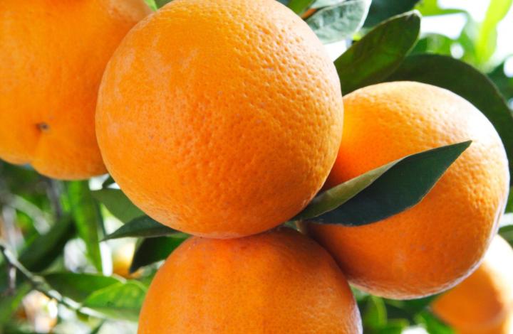 About | Refresco